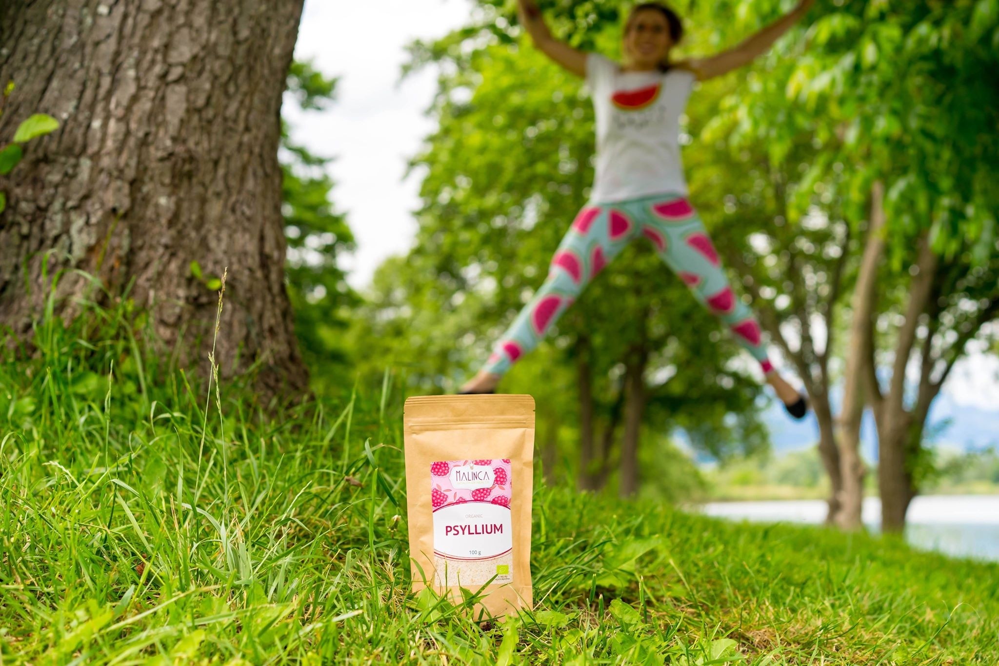 Psilium - indijski trputac bio 200g | Malinca.hr